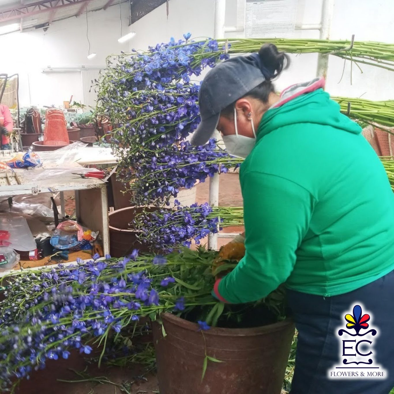 EC Flowers - EC Flowers