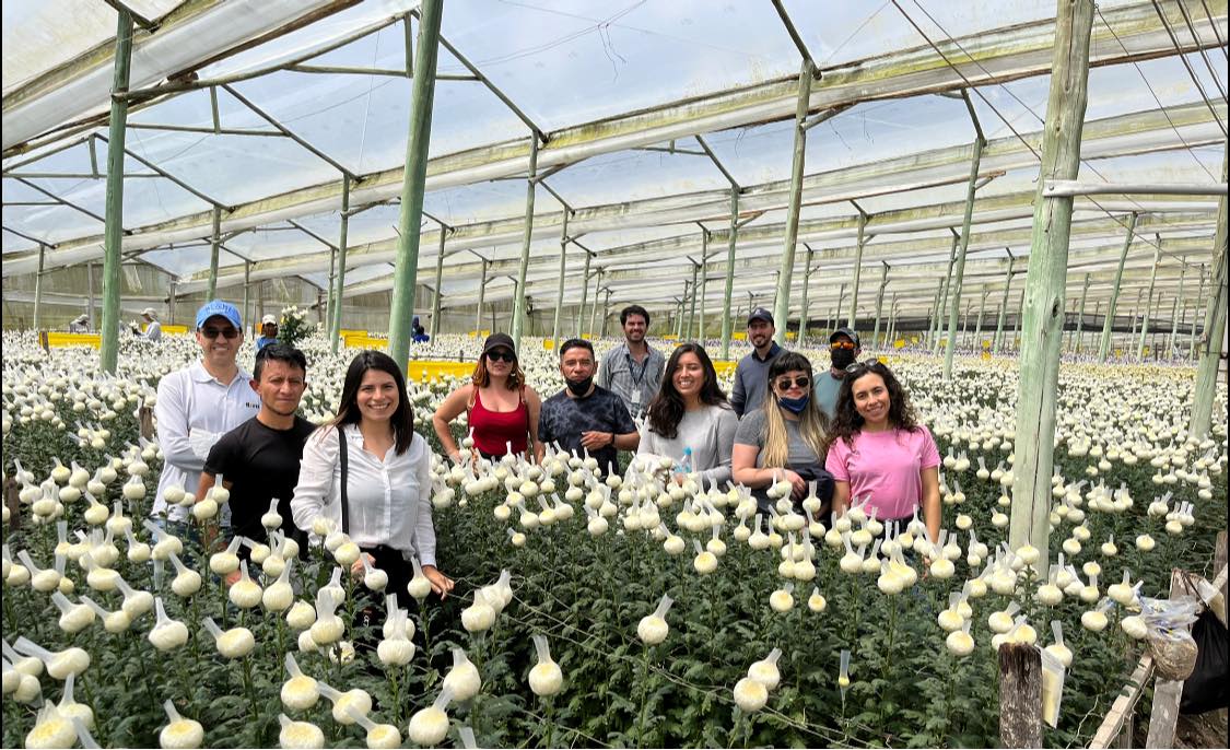 Farm Fresh Flowers - Farm Direct